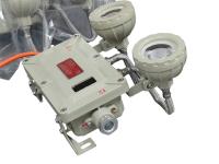 China Zone1 Zone2 Ex-proof Emergency Efficient Light for sale