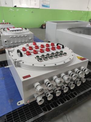 Cina 110VAC Ex prova di fiamma pannelli di controllo pannelli di distribuzione montaggio a parete personalizzabile in vendita