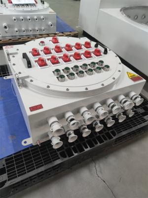 Cina 110VAC Ex prova di fiamma pannelli di controllo pannelli di distribuzione montaggio a parete personalizzabile in vendita