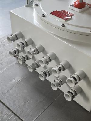 China Energy-efficient ATEX Explosion-proof Control Station – Flameproof Electrical Control Boxes 220/380Vac G1/2