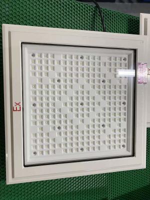China Luz de inundación LED a prueba de explosión con lámpara CREE y categoría de 50-240W en venta