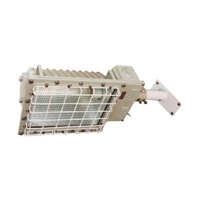 中国 効率 150lm/w 防爆 LED 防水灯 50-300Watt 食品加工工場用 販売のため