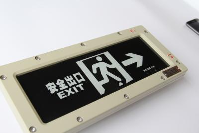 Cina Luce di emergenza LED antideflagrante certificata ATEX per aree pericolose in vendita