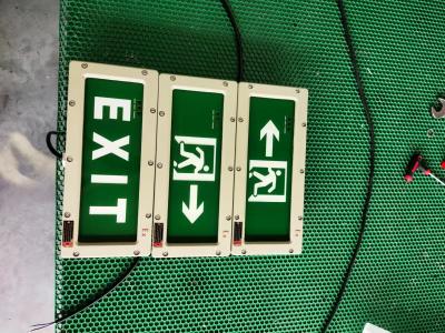 Cina Luce d'emergenza a prova di esplosione ricaricabile con batteria IP65 da 3W 3.6V alimentata per aree pericolose in vendita