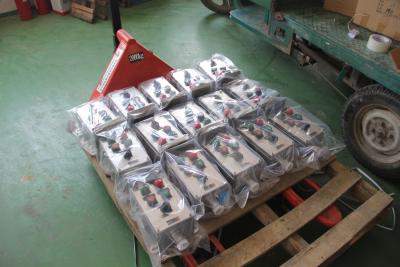 중국 위험 구역 1 2 21 22 박스 패널 폭발 방지 IP66 WF2 보호 수준 판매용