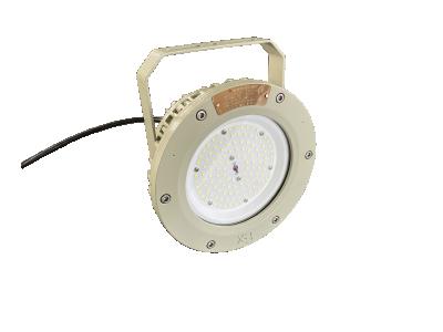 China Industrielle explosionsgeschützte LED-Hallenleuchte IP66 wasserdicht 100W-200W mit ATEX CNEX Zertifizierung für Anwendungen in Gefahrenzone 1 & 2 zu verkaufen