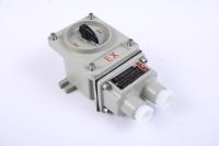 China Explosion Proof Switch 10A IP66 2 Pole Surface Mount for Hazardous Locations for sale