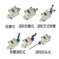 China Explosion Proof Switch IP66 10A 220V/380V G3/4 Cable Entry Surface Mount for sale