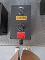 China GRP Explosion Proof Starter Pump Control Station IP66 WF2 225A Power Distribution Panel for sale