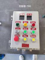 China Explosion Proof Control Panel Enclosure IIB T4 Flameproof Distribution Electrical Panel 380V for sale