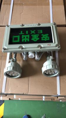China Flameproof Emergency Light Your Partner for Emergency Lighting in Industrial Settings for sale
