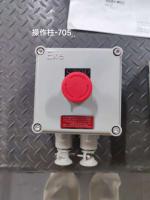 China ATEX IP65 Explosion-Proof Isolation Switch 220V/380V Wall Mounted Control Panel for sale