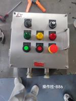 China Explosion Proof Control Panel IP66 WF2 12mm Wall Mount Flameproof for Hazardous Areas for sale