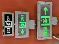 China 403 Status Code Flameproof Emergency Light Designed for Industrial Environments for sale