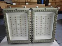China Performance Explosion-Resistant LED Floodlight with Openresty Server Software and 403 Status Code for sale