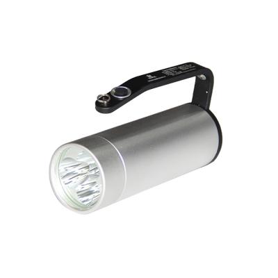 China Portable Mode Explosion-Proof LED Fixture Ex Mark Ex Tb IIIC T85°C Db IP66 for Hazardous Environments for sale