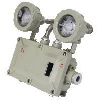 China ATEX IP66 Explosion Proof LED Emergency Light 2x5W 180 Min Rechargeable Exit Lamp for sale