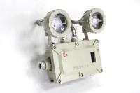 China ExProof Emergency Light BCJ 220V 2x5W Flameproof LED Wall Ceiling Mount 90-180 Mins for sale