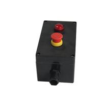 China Explosion Proof Switch 10A 2 Pole IP66 Hazardous Location Selector Switch 220V/380V for sale