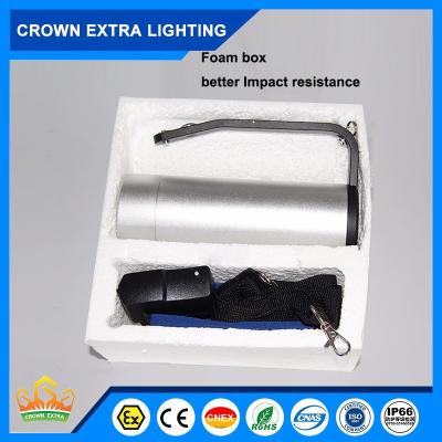 China 100Watt Explosion Proof LED Lighting Including 16 Hours Emergency Time LED Light Source Suitable for Hazardous Locations for sale