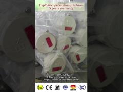 Explosion-proof Flameproof LED linear Fluorescent lamp lighting fixture