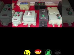 IP65 Stainless Steel Wall Mounted Electrical Control Panel Enclosures AC 220V/380V Ex Proof Control Panel