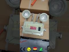 Zone 1/Zone 2 Explosieveilige Noodverlichting | Waterdichte & Brandwerende LED Wand-/Plafondarmatuur voor Kritieke Gebieden