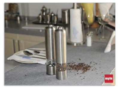 Cina Small handle Stainless Steel Pepper Mill for home kaitchen aid tools in vendita