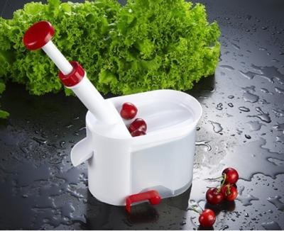 Cina HIPS, ABS and 18/0 Stainless Steel Kitchen Tool cherry and grape corder in vendita