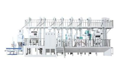 China Small Rice Milling Machine And Project for sale