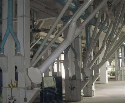 China Rice Milling Equipment 100-300tpd Double Hulled Rice Milling Machine Processing Plan Line for sale