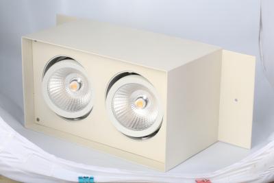 Cina La doppia testa 60 watt ha condotto la lampada 4500lm - 5500lm, l'alta Istruzione Autodidattica Ra85 della griglia in vendita