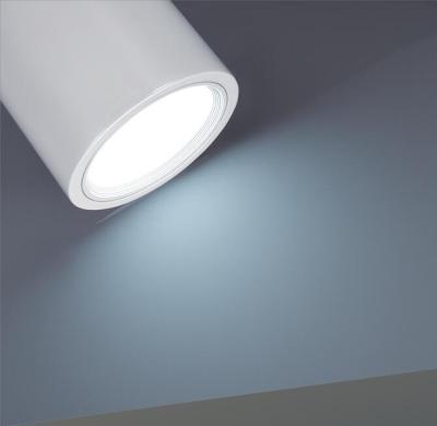 Cina L'alto potere 30W sorge le plafoniere principali bagno principali montate di Downlights in vendita