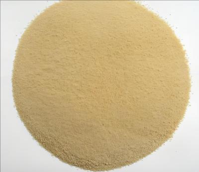 China DISP 2006 Copolymer with Pigment Affinity Groups Polymer Powder Dispersant for sale