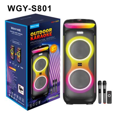 Cina Altoparlante portatile per feste con woofer da 8 pollici, illuminazione a LED e connettività Bluetooth per un intrattenimento e divertimento senza sosta. in vendita
