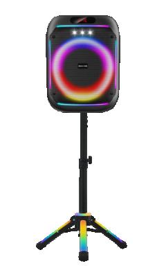 China Portable Party Speaker with Lithium Battery Dynamic Lighting and 8-inch Speaker for Powerful Outdoor Sound for sale