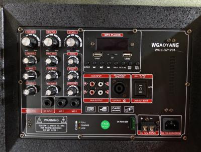 China Outdoor Party Speaker Featuring Powerful 200-Watt Output Waterproof Design And Multiple Connectivity Options For Events for sale