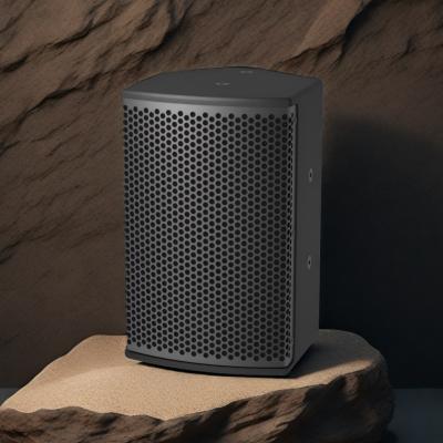 China 6-inch 100W Professional Passive Karaoke Loud Speaker with 2-unit 2-way Phase-Inverted System for sale