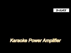 Poderoso EV9300 2 X 900W Amplificador de Potência Profissional para Concertos de Desenho ao Ar Livre Grande Salão de DJ
