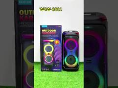 8-inch Woofer Portable Party Speaker with LED Lighting and Bluetooth Connectivity for Non-Stop Party Entertainment and Fun