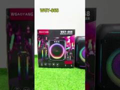Portable Party Speaker with Lithium Battery Dynamic Lighting and 8-inch Speaker for Powerful Outdoor Sound