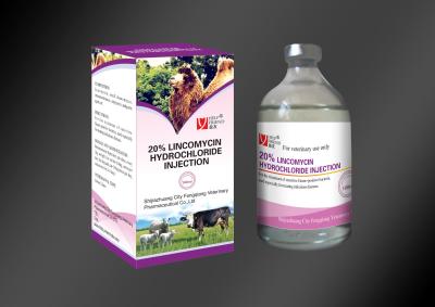China Lincomycin 20% Injectable Solution for sale