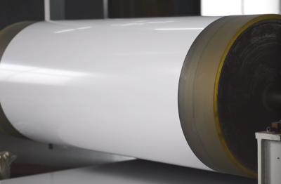 Китай 5000 серии настраиваемая предварительно окрашенная алюминиевая катушка для уникальных возможностей дизайна продается