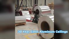 Durable RAL Aluminum Ceiling Panels