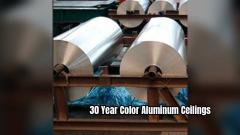 Aluminum Ceiling Panels 30 Year Color
