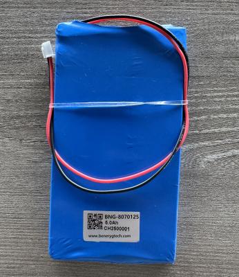 China E Bike 12V Lithium Ion Battery Deep Cycle LiFePO4 Vehicle Use for sale