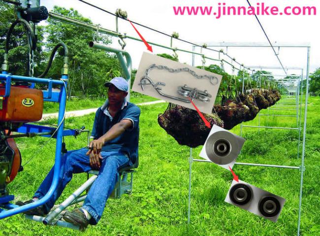 Zinc Silver Garrucha Bananera For Banana Farm 6