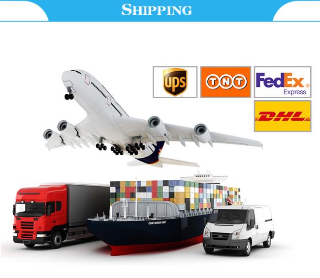 Global shipping and delivery network