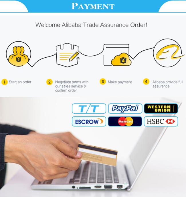 Secure payment options for international clients