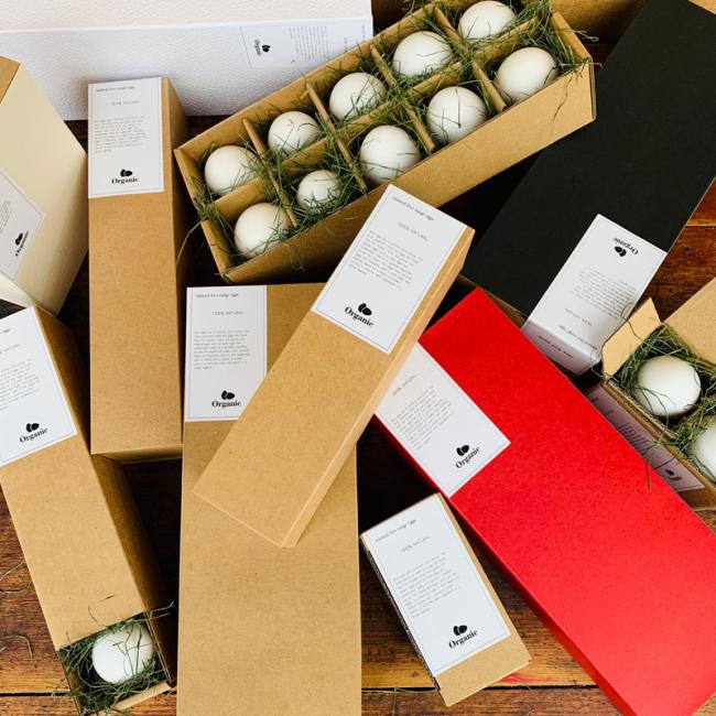Close-up of egg box showing corrugated cardboard texture
